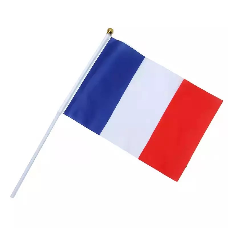 Mini drapeau france - HB-IMPORT